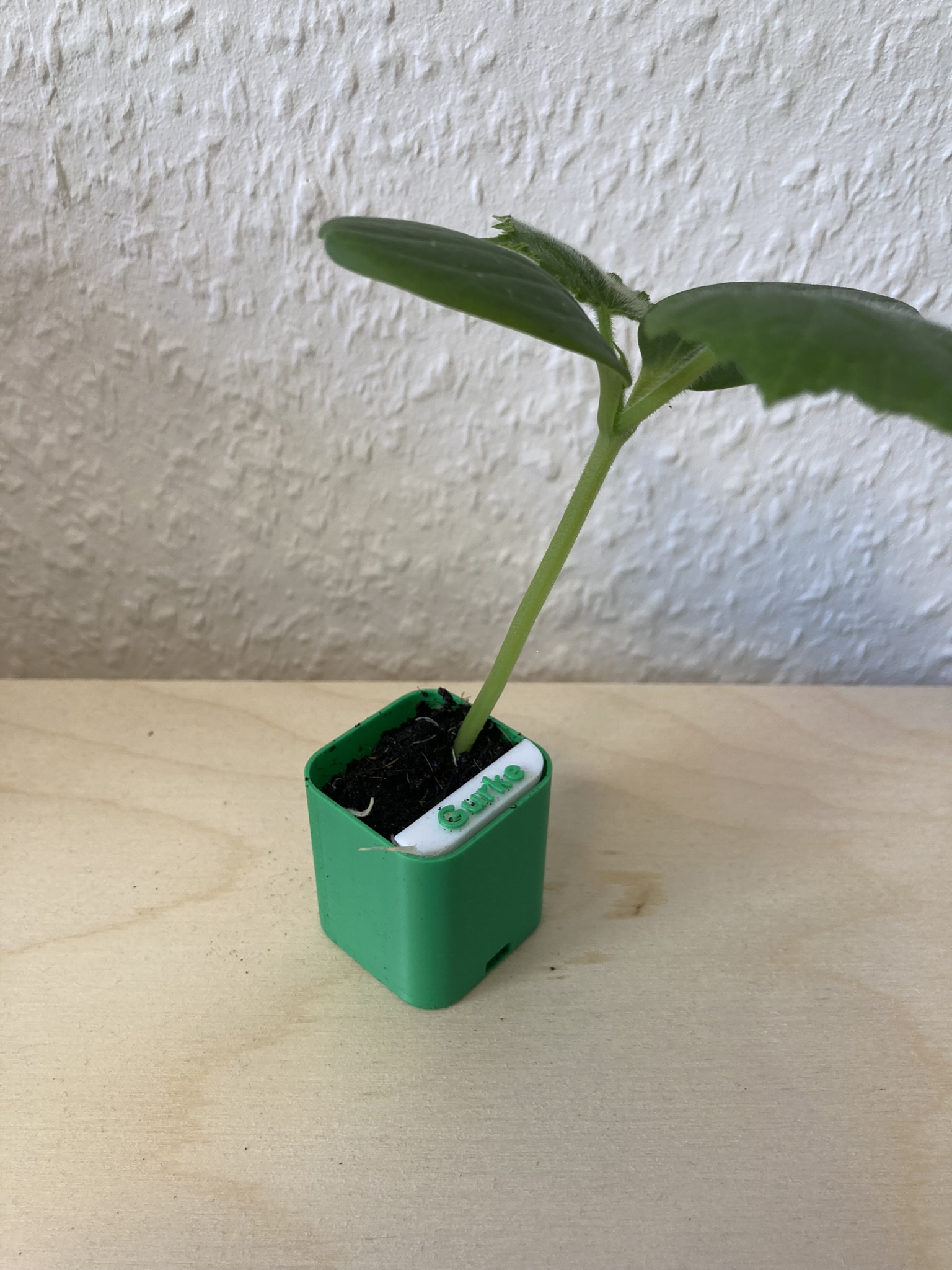 Cultivation Planter Pot (Labeled) by Kaiser | Download free STL model ...