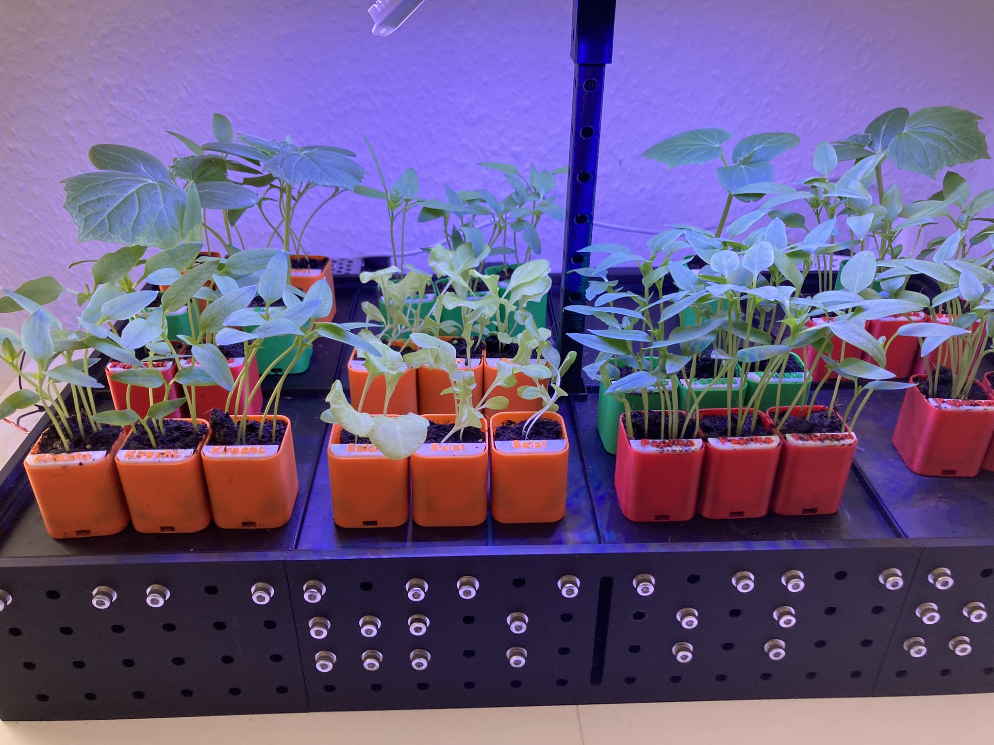 Cultivation Seed Planter Pot (Labeled) by Kaiser | Download free STL ...
