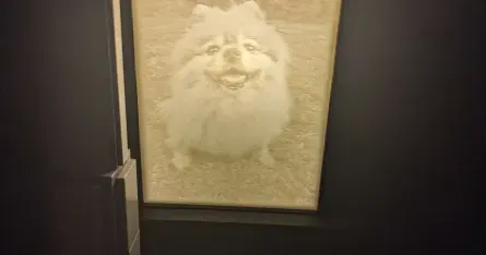 Cute Dog Lithophane by fastwheel08 | Download free STL model ...