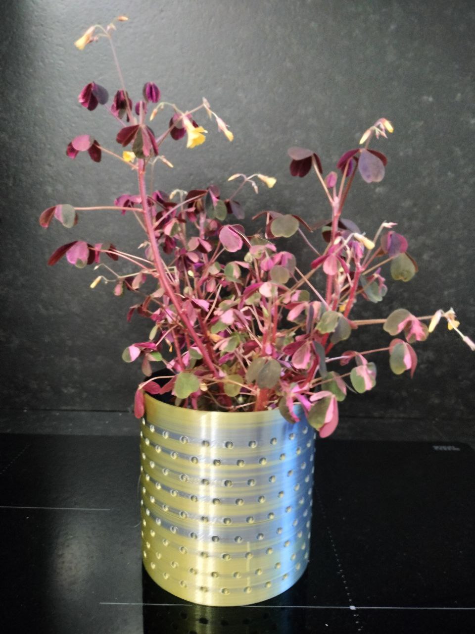 Cache pot fleurs by IOP | Download free STL model | Printables.com