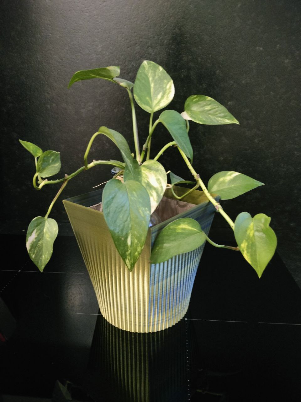 Cache pot fleurs by IOP | Download free STL model | Printables.com