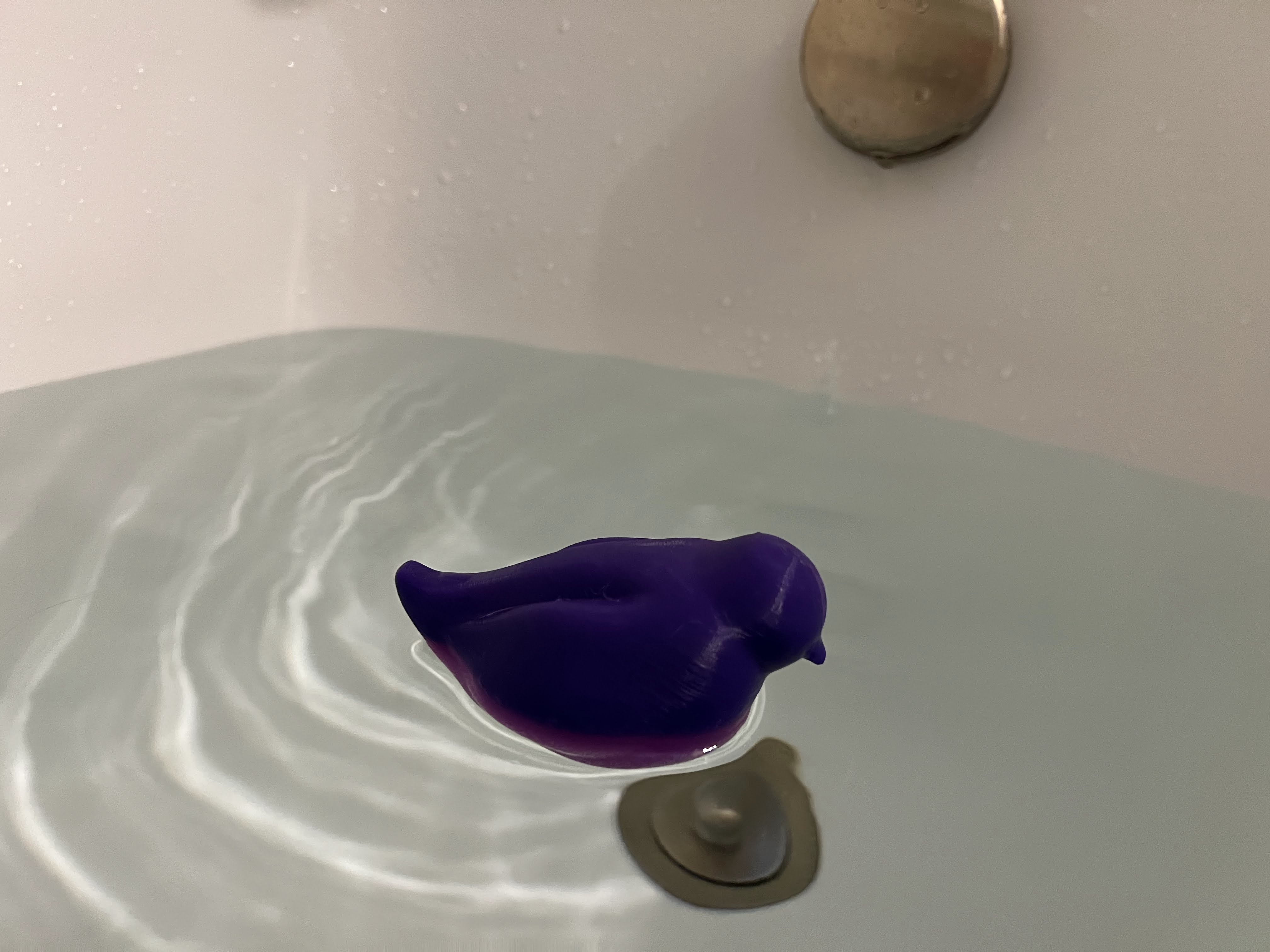 Wibble Wobble Bird Bath Toy by Run Amok Designs | Download free STL ...