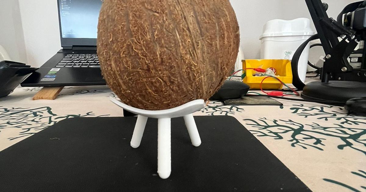 Coconut plant vase by Enes CAN | Download free STL model | Printables.com
