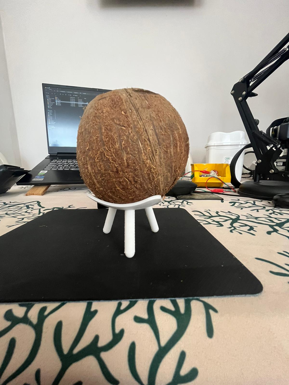 Coconut plant vase by Enes CAN | Download free STL model | Printables.com