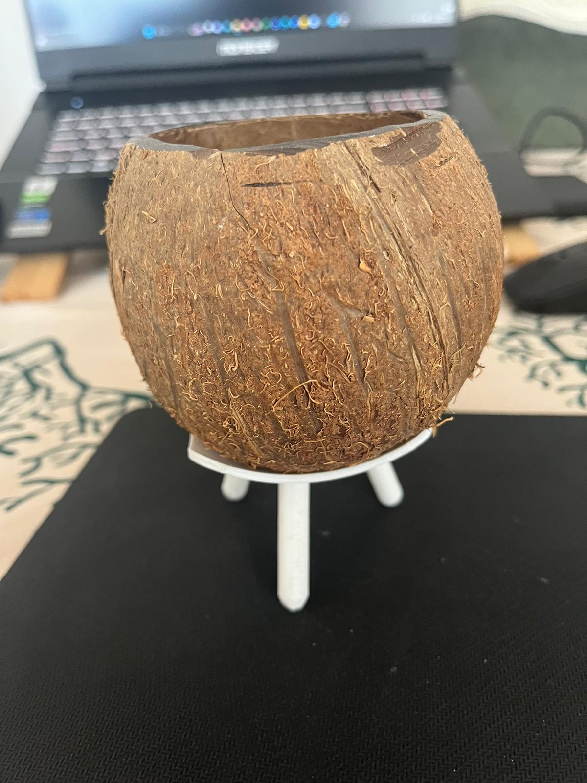 Coconut plant vase by Enes CAN | Download free STL model | Printables.com