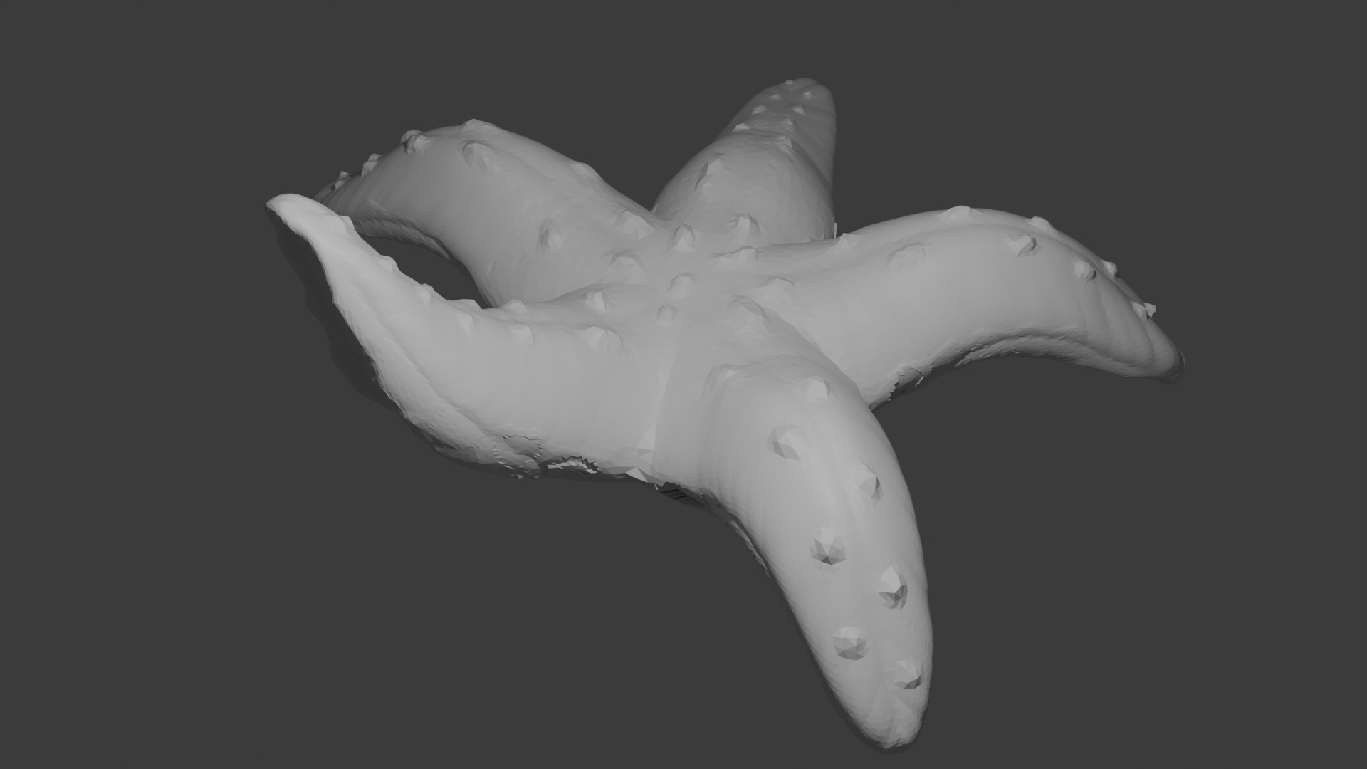 Starfish (Seastar) (Wall mountable) by tduerig | Download free STL model | Printables.com
