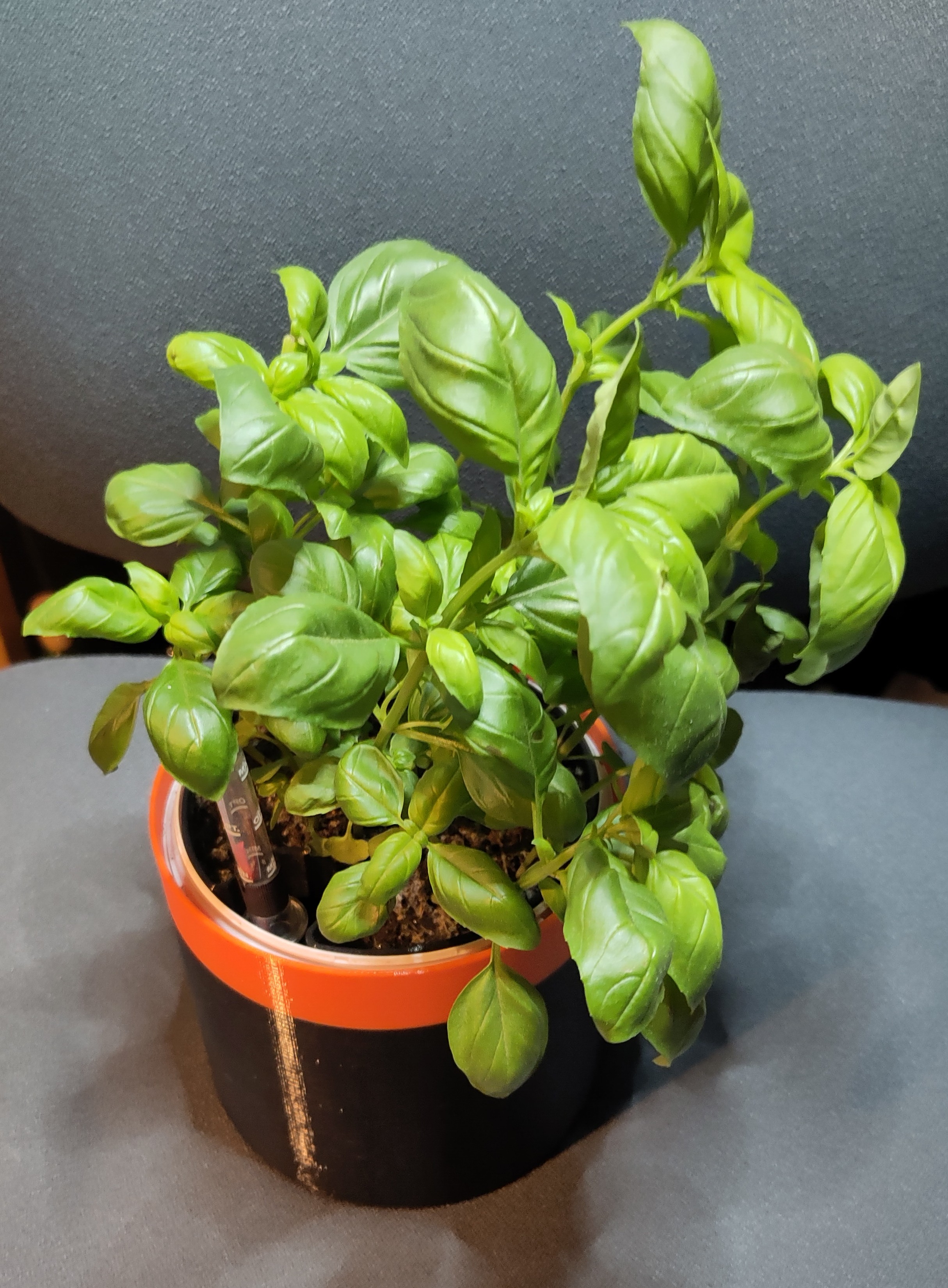 Self Watering Vase for Yogurt Container (Lidl / Aldi) FreeCAD by Jürgen ...