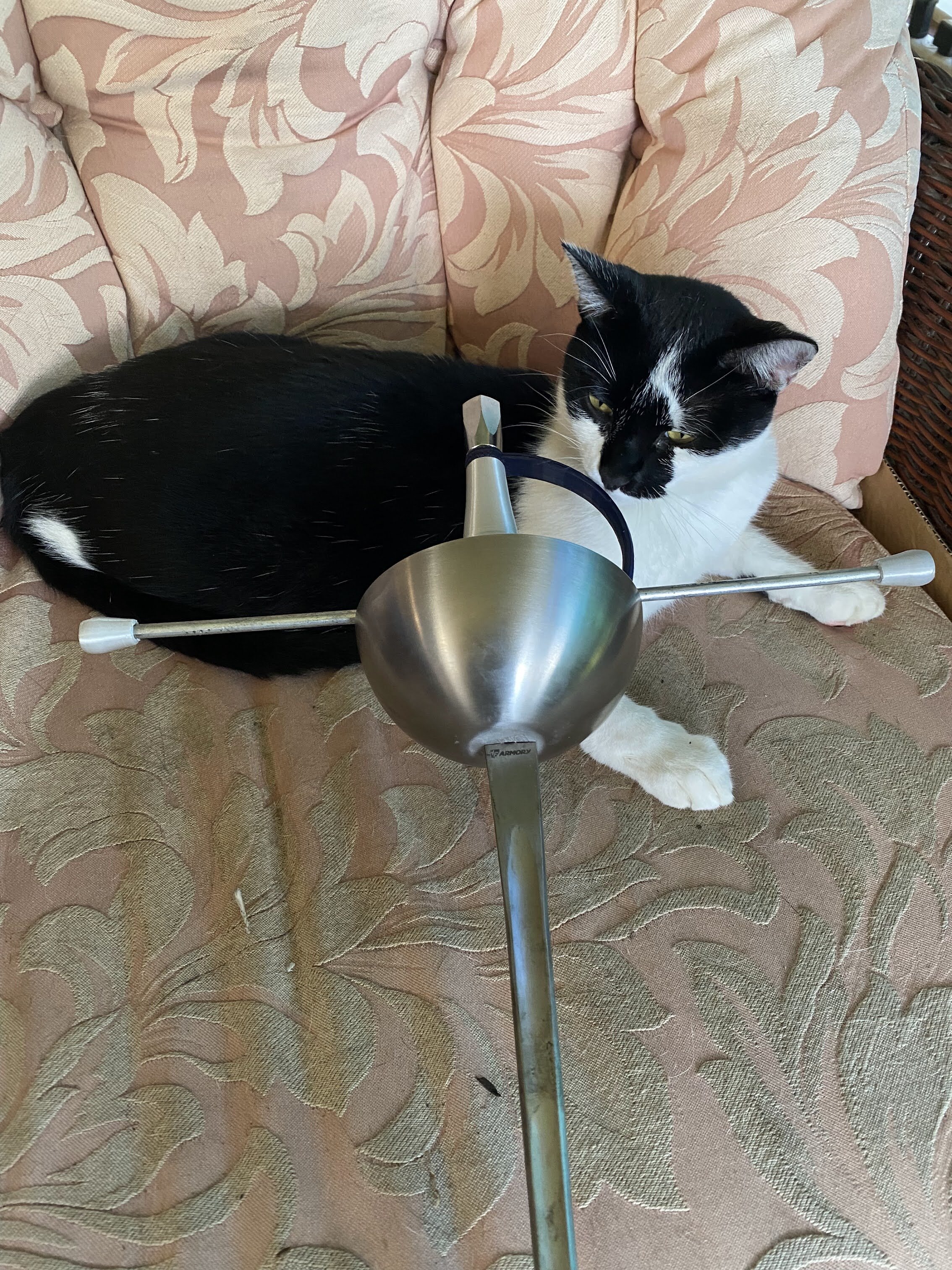 HEMA Cup Rapier Trainer using an Epee Blade von Swordgoose ...