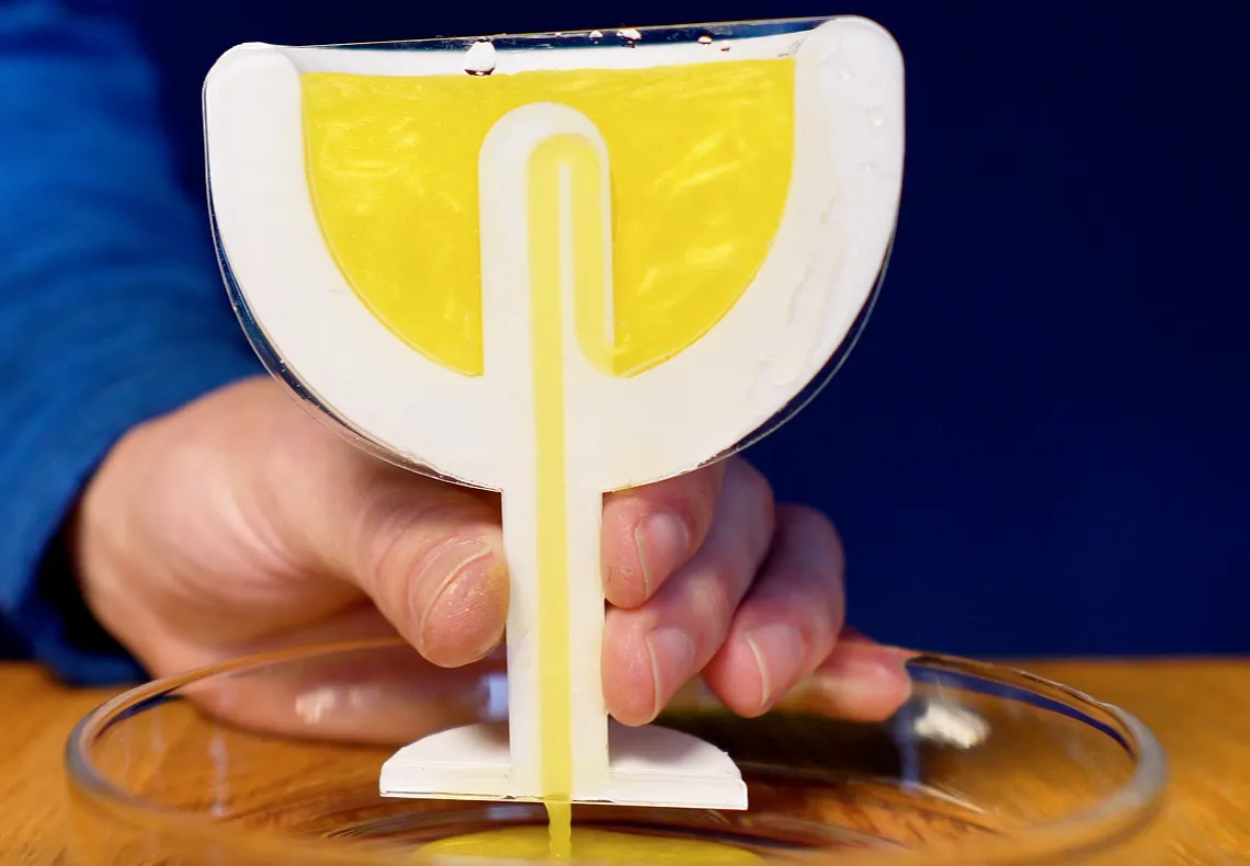 3D Cut-In-Half Pythagoras Cup by Nathan Grieve | Download free STL ...