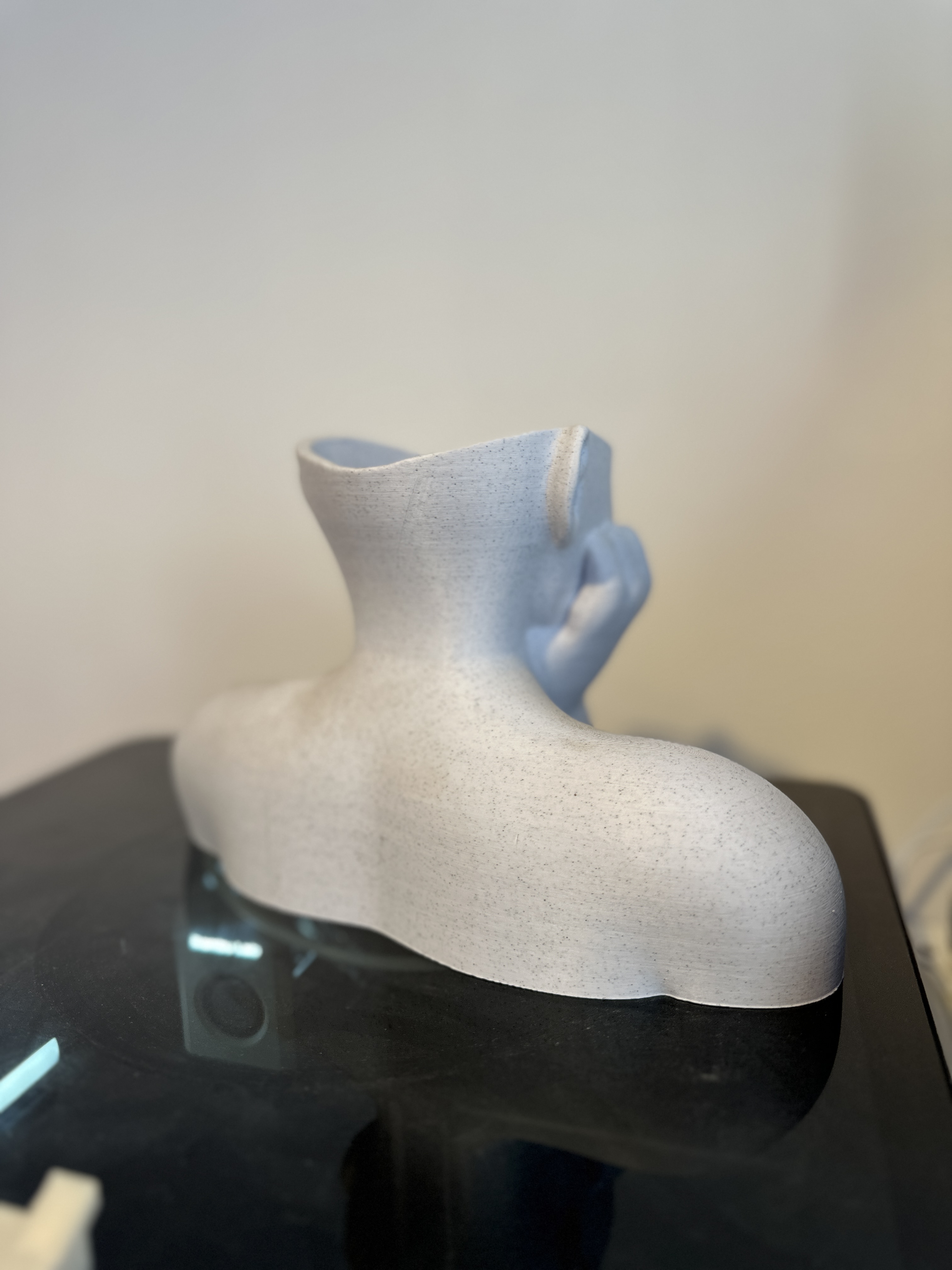 Beautifull Women Vase by LaurentG | Download free STL model ...