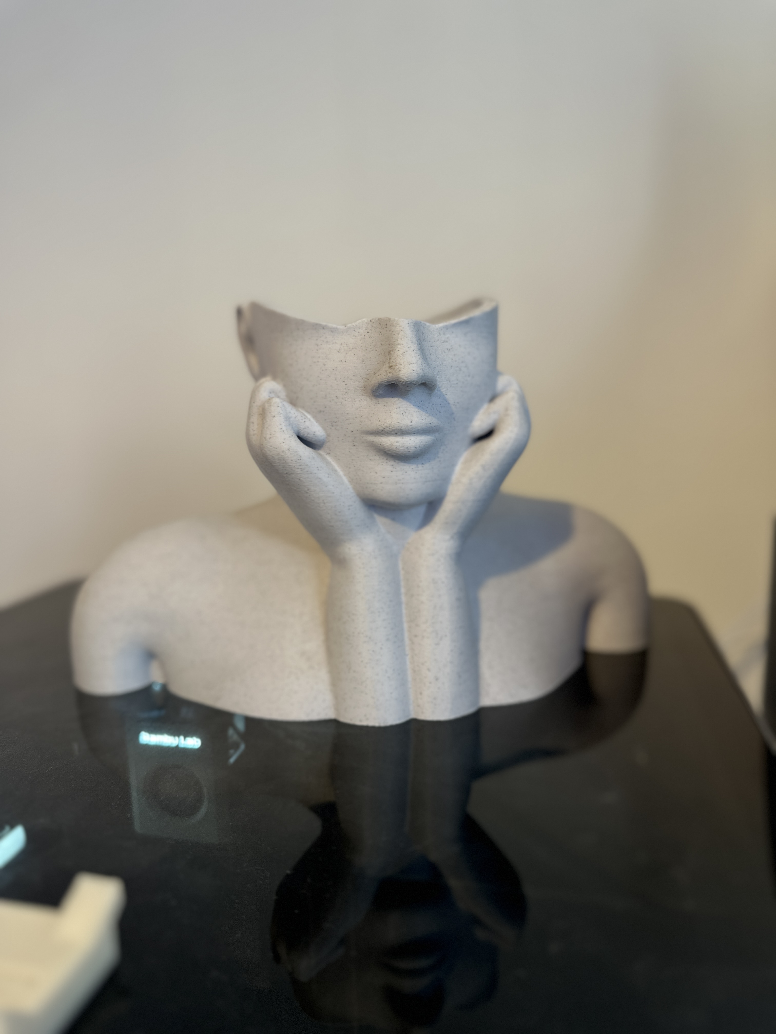 Beautifull Women Vase by LaurentG | Download free STL model ...