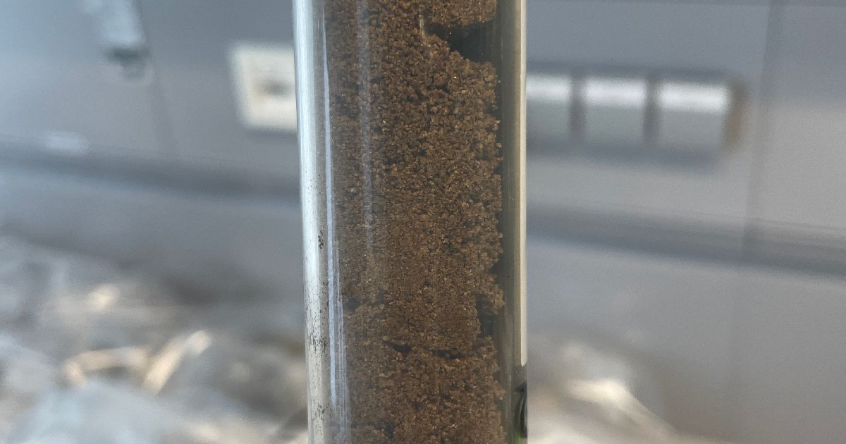 Centrifuge Tube Filtration Insert (50ml) / Falcon Tube Filter Insert by ...