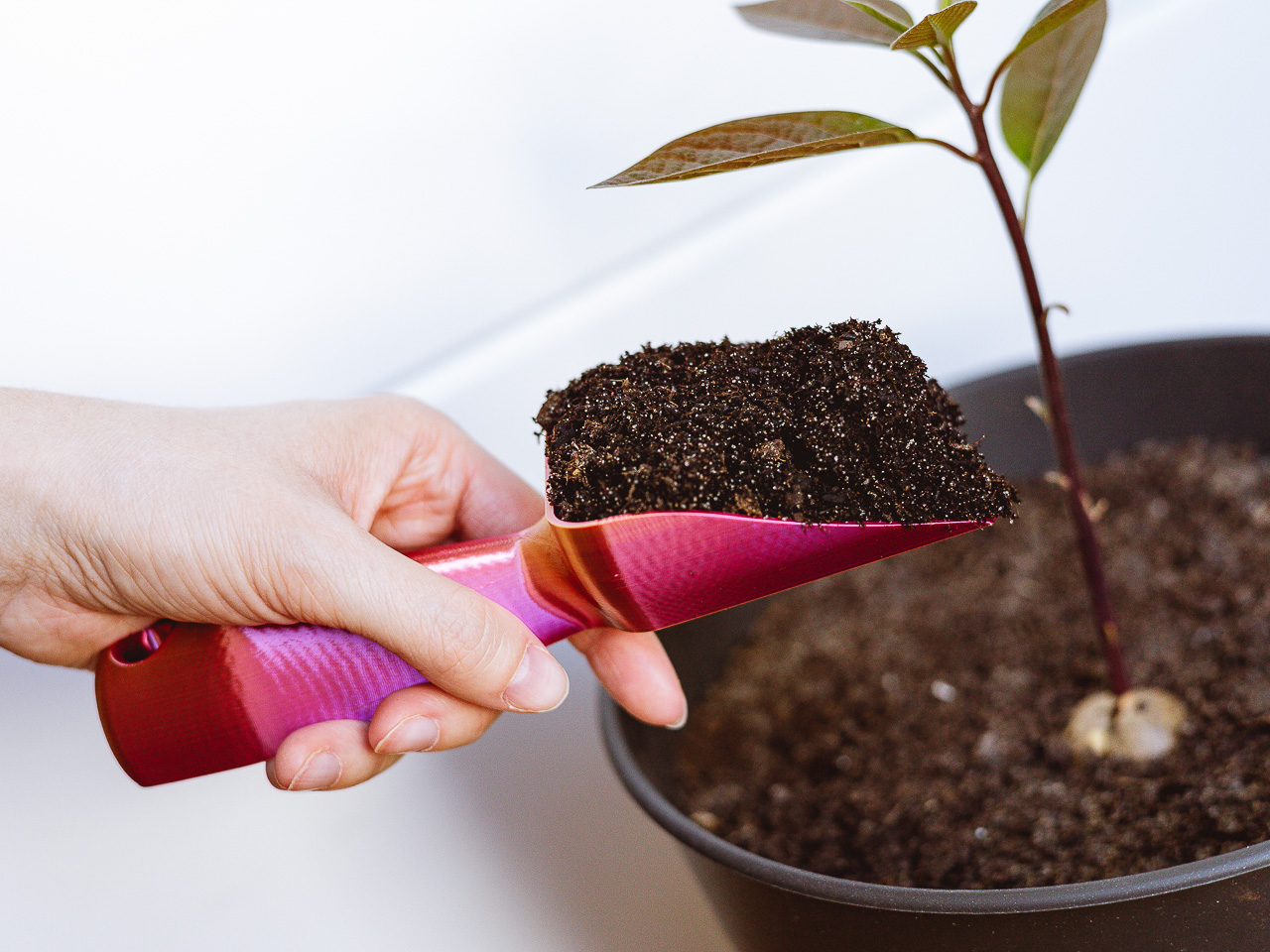Small Garden Shovel by Vasilii | Download free STL model | Printables.com