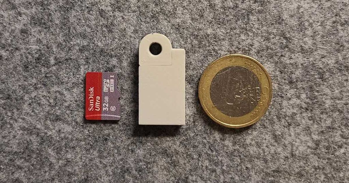 Tiny Keychain Micro SD Card Holder (for 2 cards) by FabianVeile ...