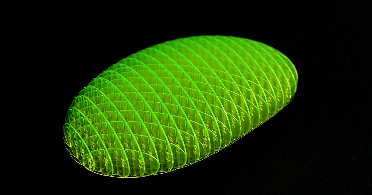 Morf Worm By Matt 2024 Download Free Stl Model