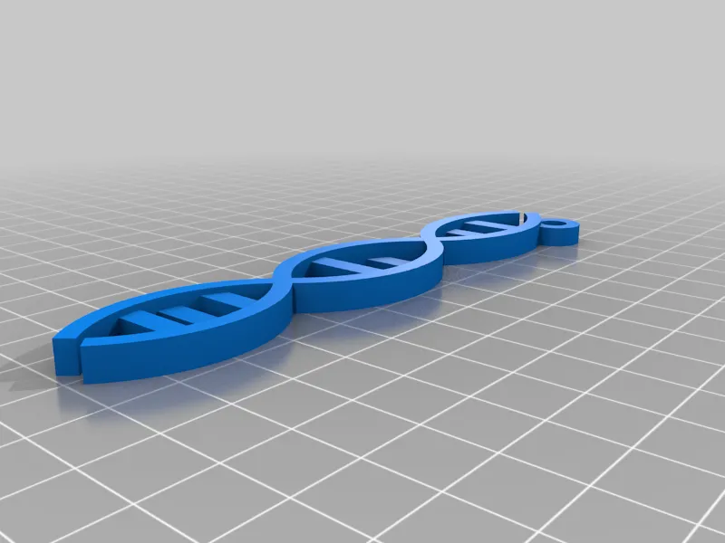 DNA strand keychain by clubmedic | Download free STL model | Printables.com