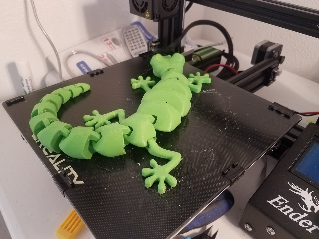 Curled Articulated Lizard by Stetofire | Download free STL model ...