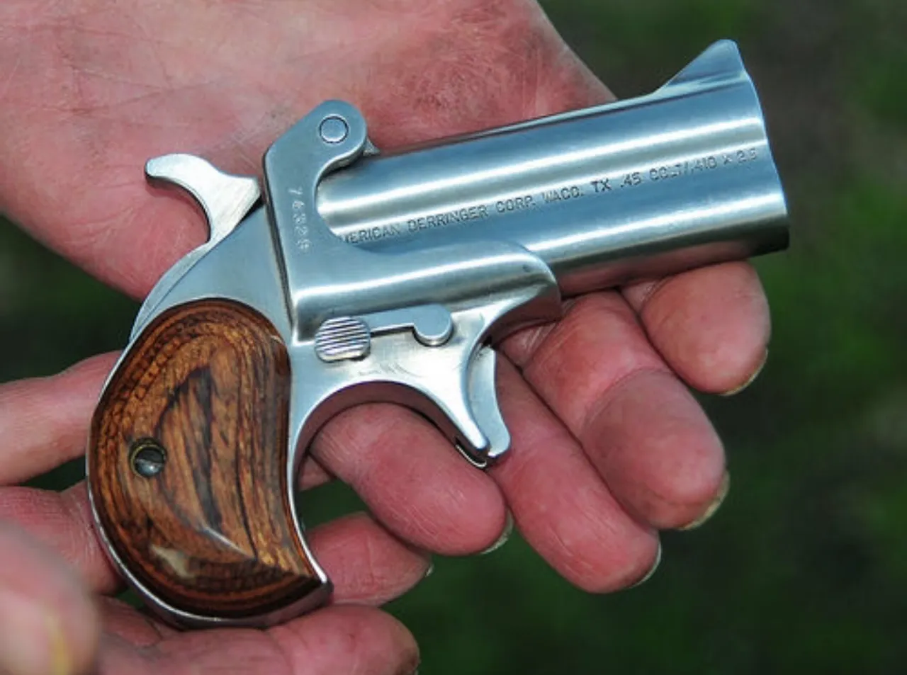 Cosplay Derringer (Kaguya-sama Love is War) by Will2DesignWell ...