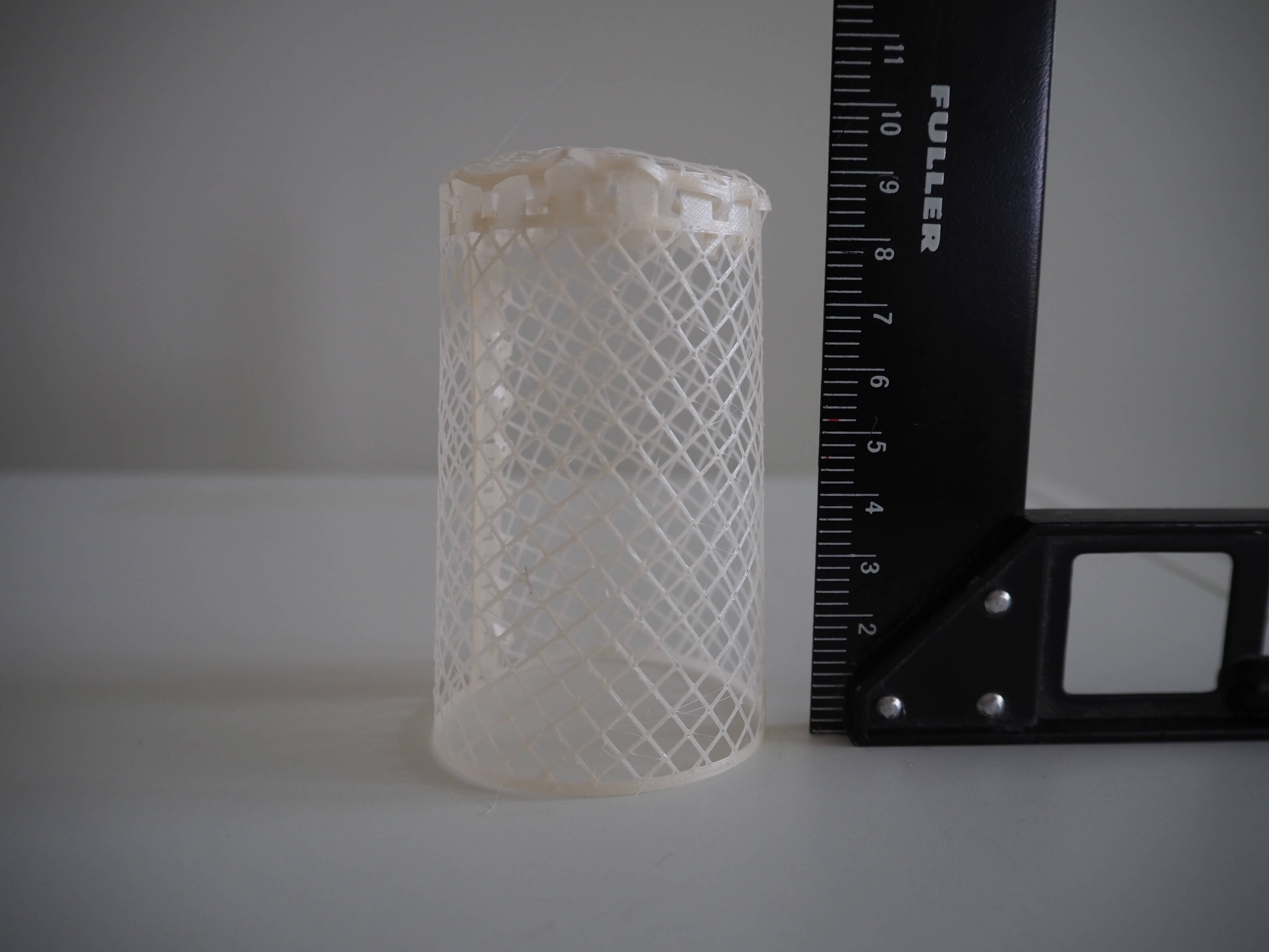 Seedling Cage (25 minute print) by Highrise Workshop | Download free ...