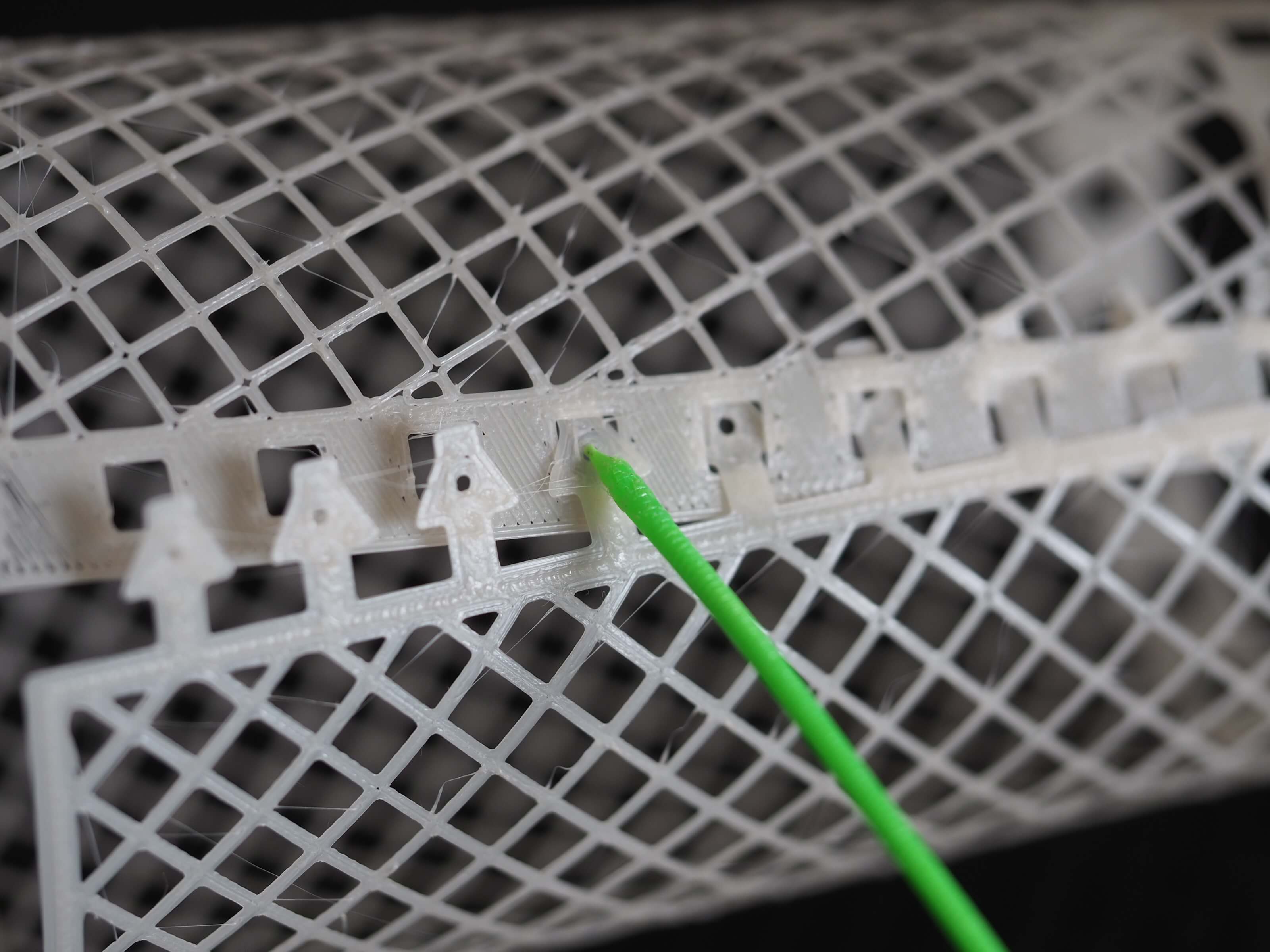 Seedling Cage (25 minute print) by Highrise Workshop | Download free ...