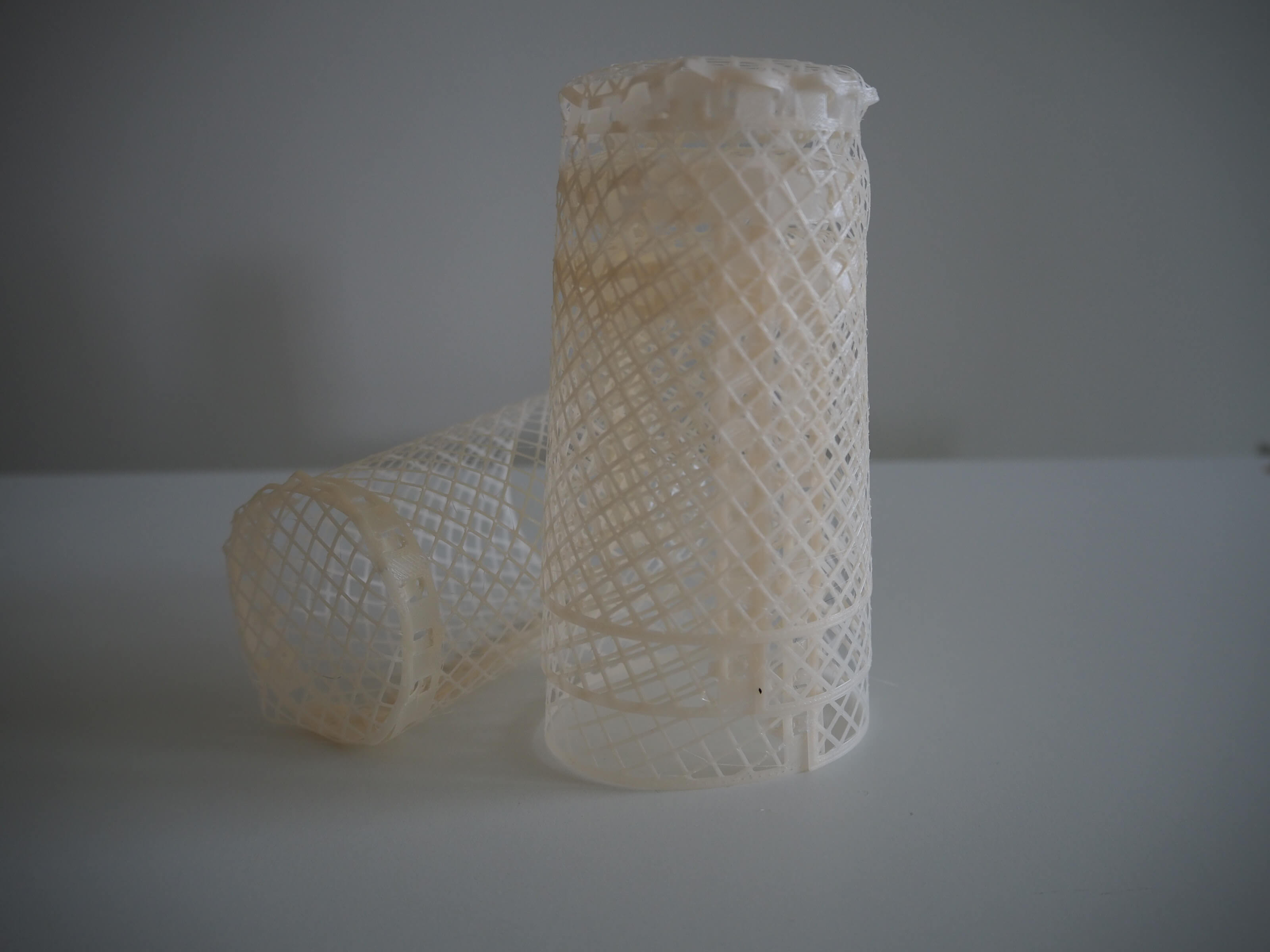 Seedling Cage (25 minute print) by Highrise Workshop | Download free ...
