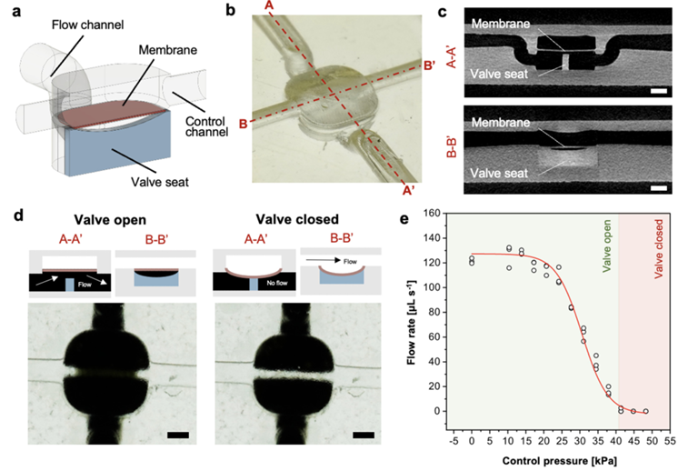 Embedded membrane microvalve by JunckerLab | Download free STL model ...