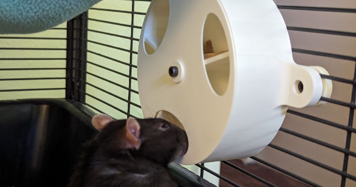 Simple Rat Foraging Wheel by InventorIan | Download free STL model ...