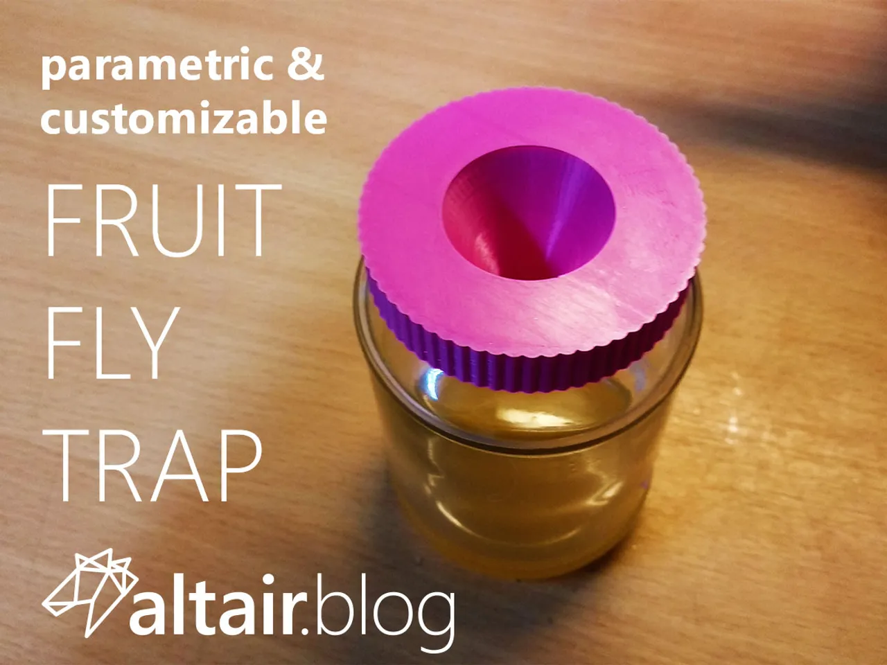 Parametric Customizable Fruit Fly Trap by Altair | Download free STL ...