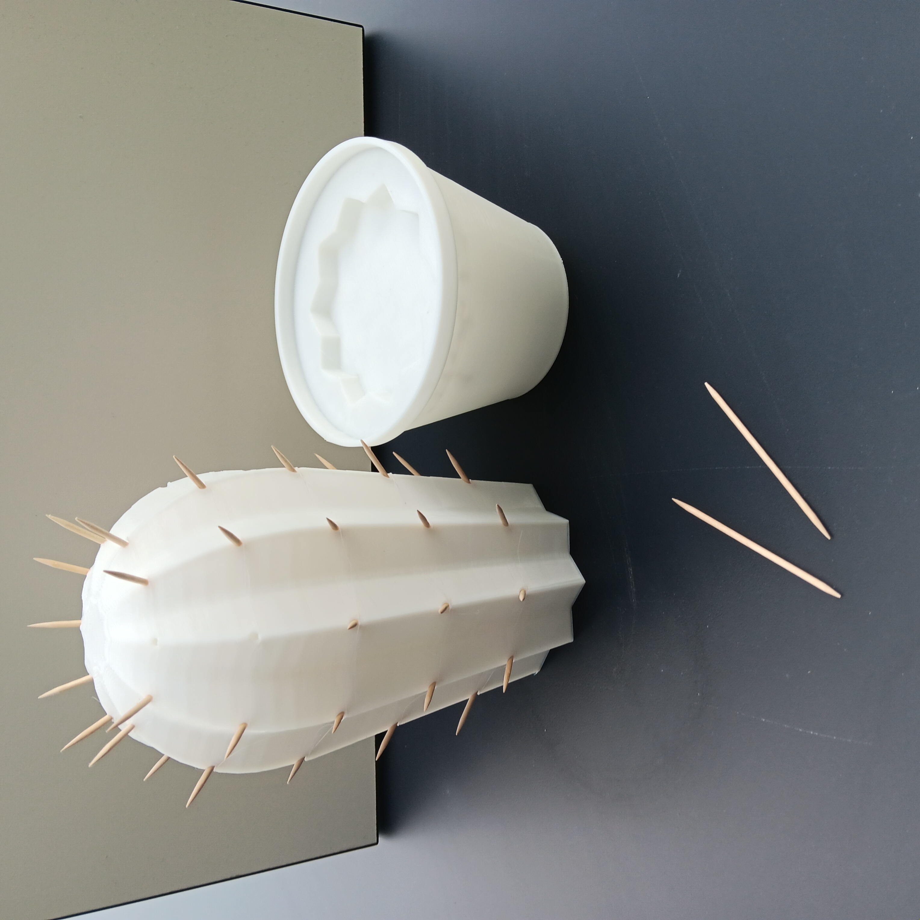 cactus toothpick holder by runningturtle08 | Download free STL model ...