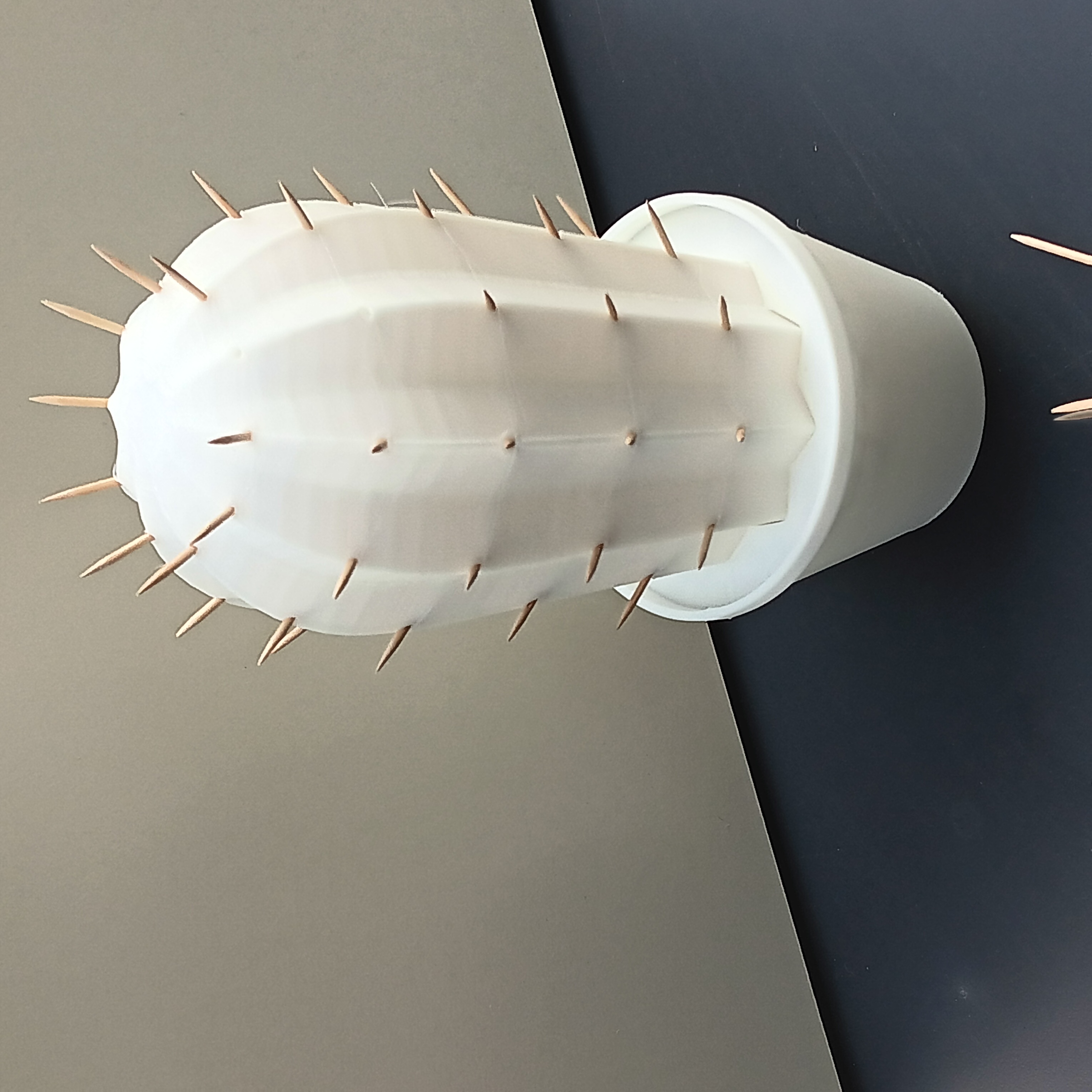 cactus toothpick holder by runningturtle08 | Download free STL model ...