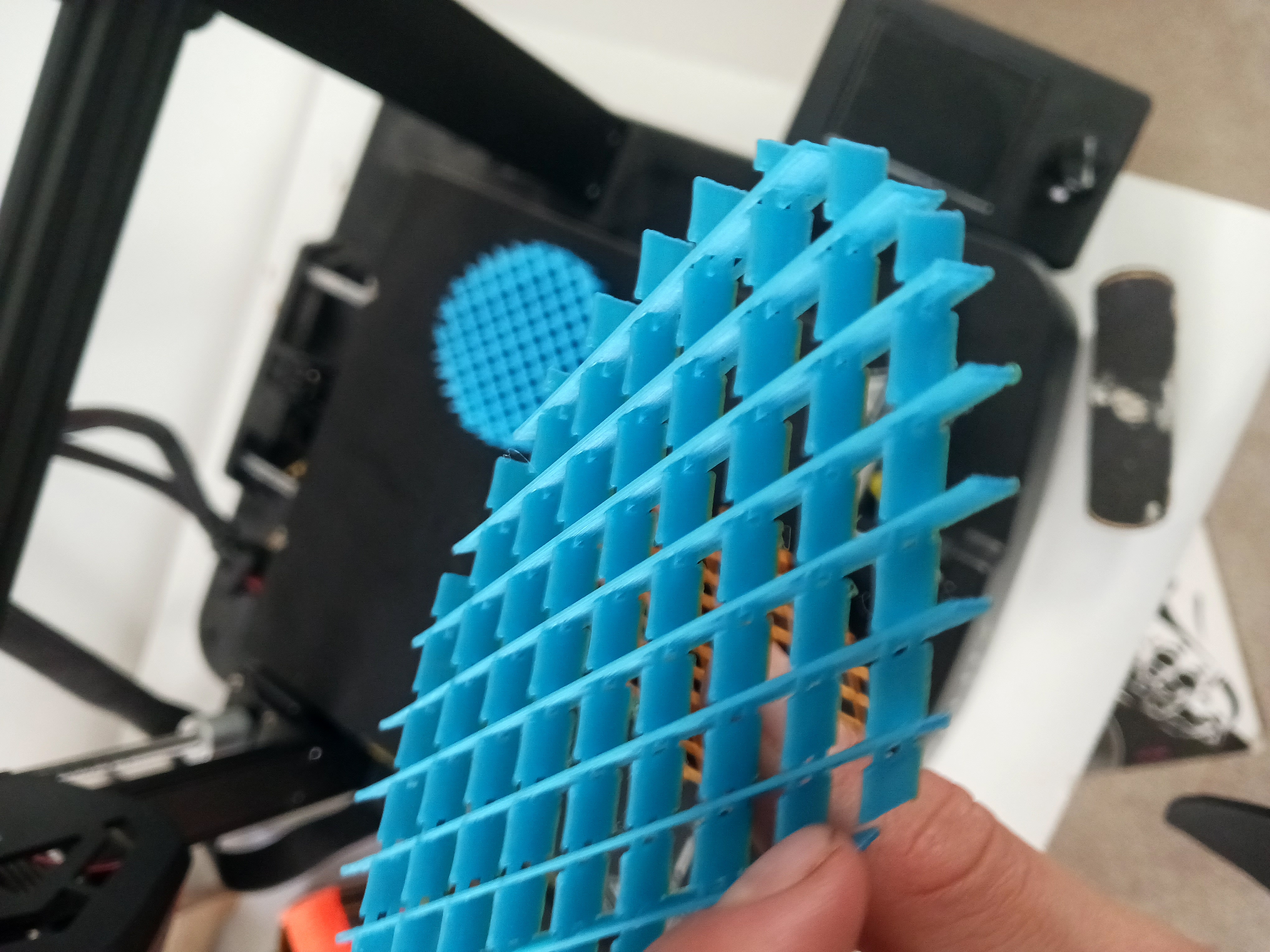 Fidget: Squish Fidget by KingTut | Download free STL model | Printables.com