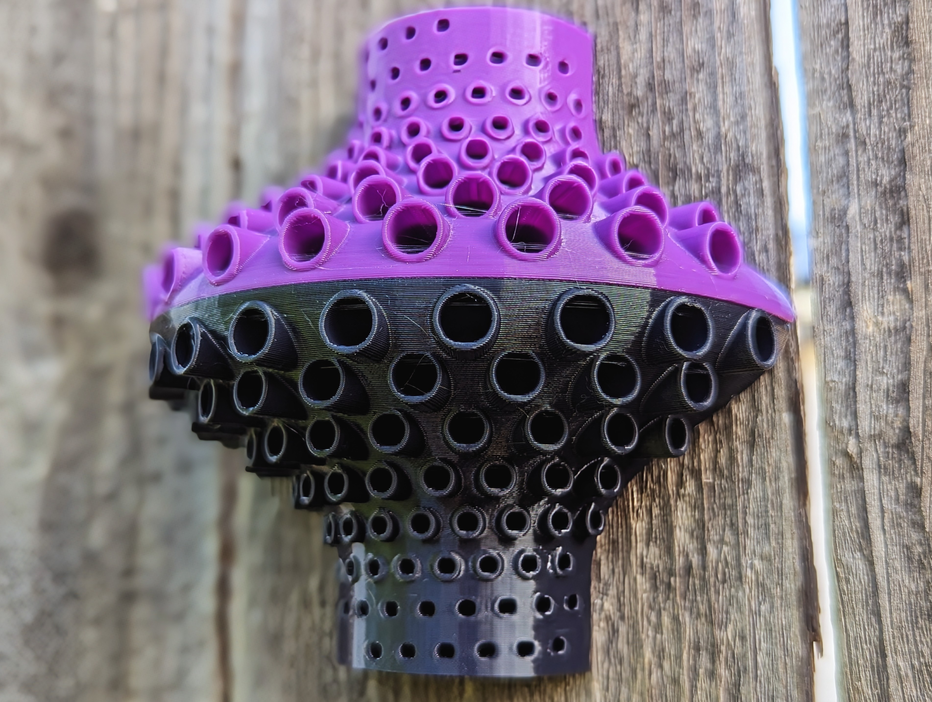 Insectarium Bug Hotel by AE | Download free STL model | Printables.com