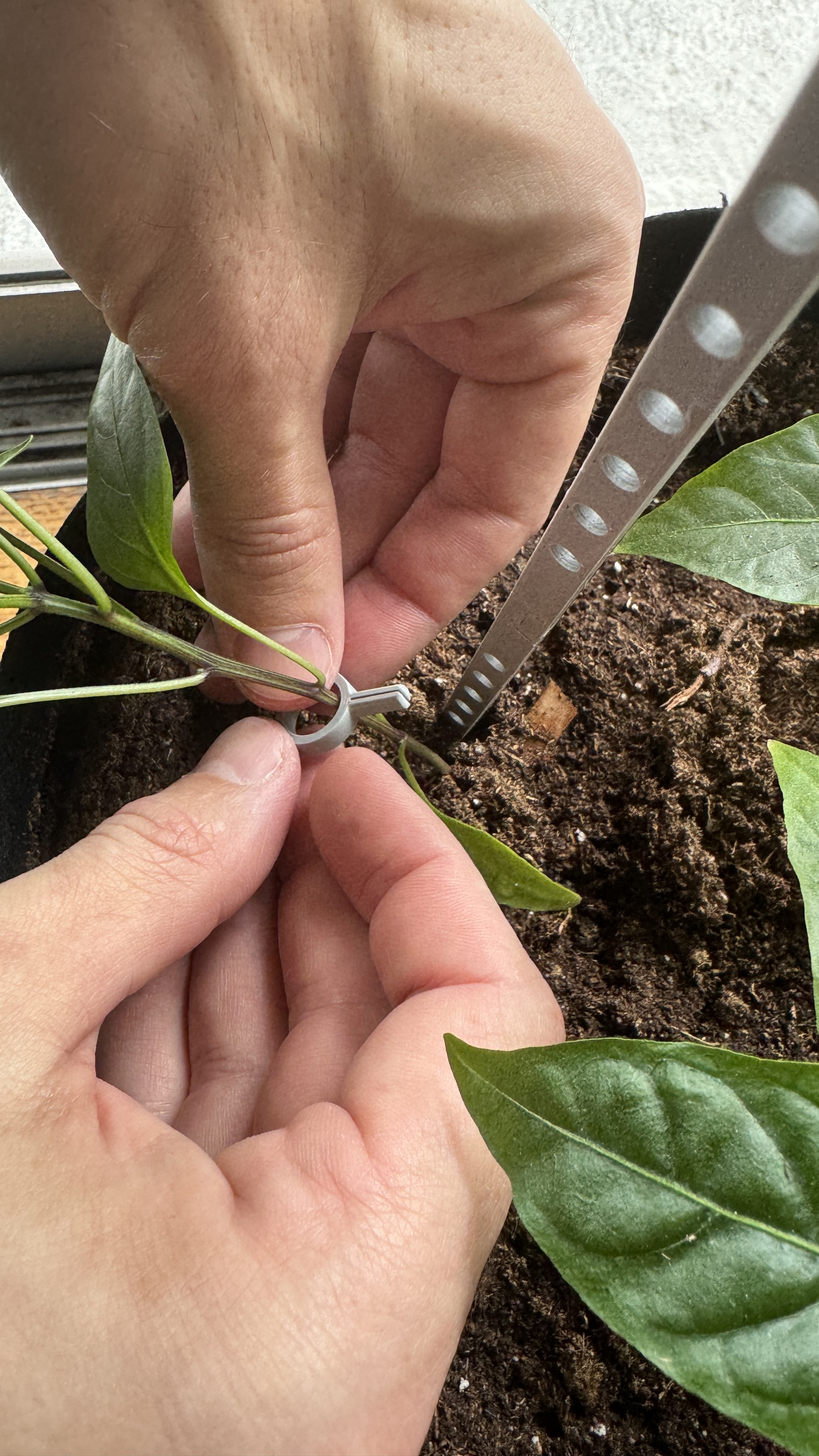 Planting Stake with Clips by Ghost_In_The_Machine | Download free STL ...