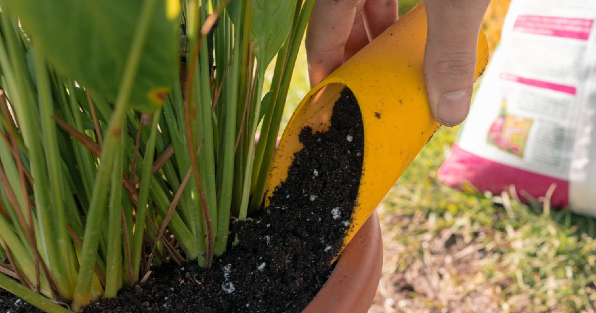 Garden shovel by Lukyn3D | Download free STL model | Printables.com