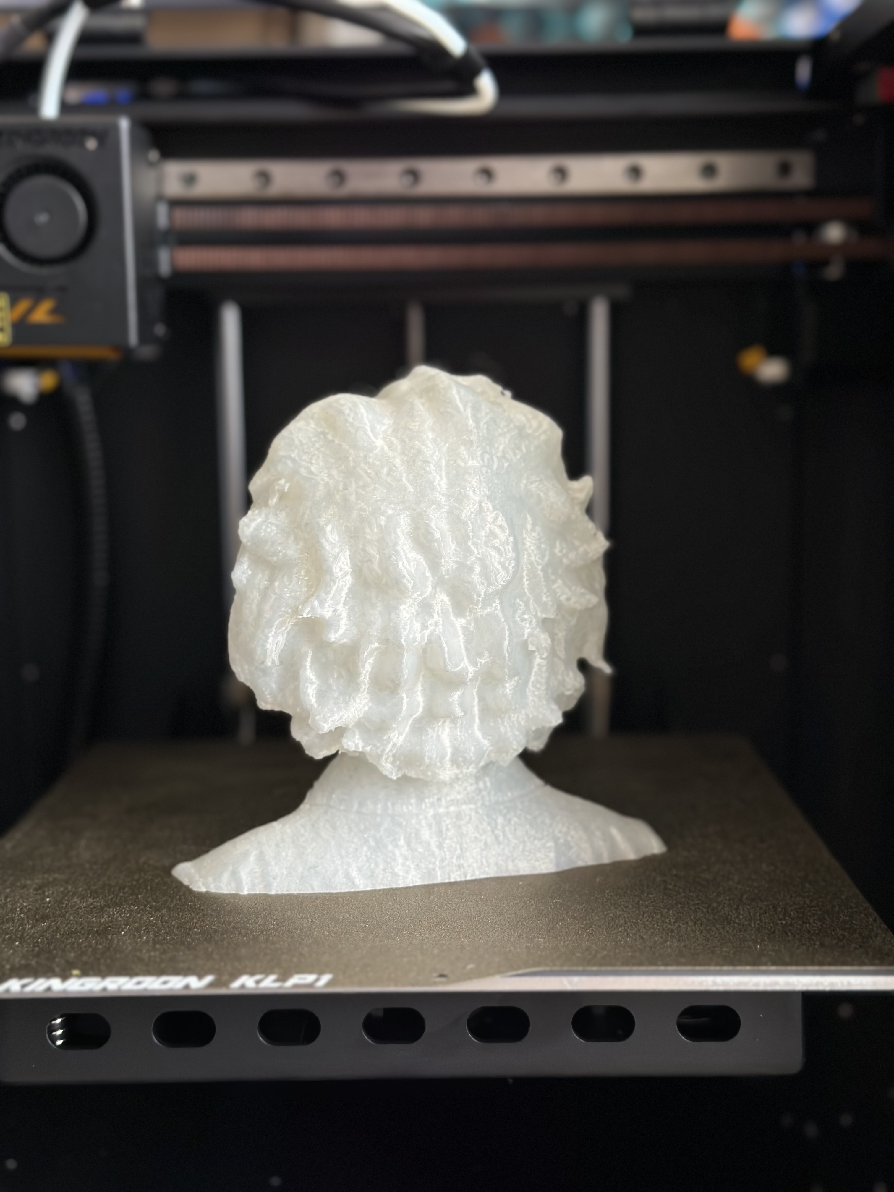 Albert Einstein Bust - AI Generated by NeilHailey | Download free STL ...