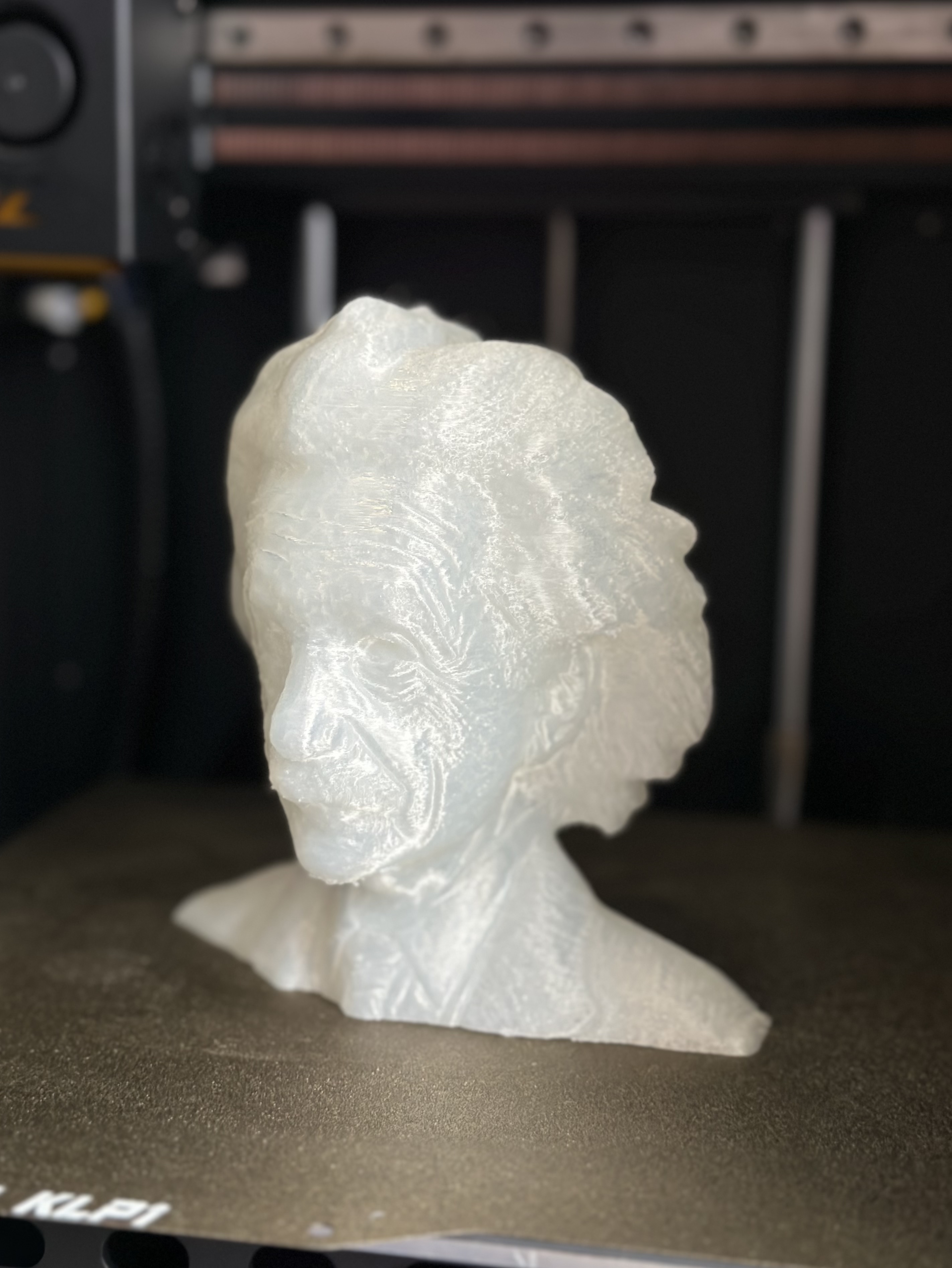 Albert Einstein Bust - AI Generated by NeilHailey | Download free STL ...