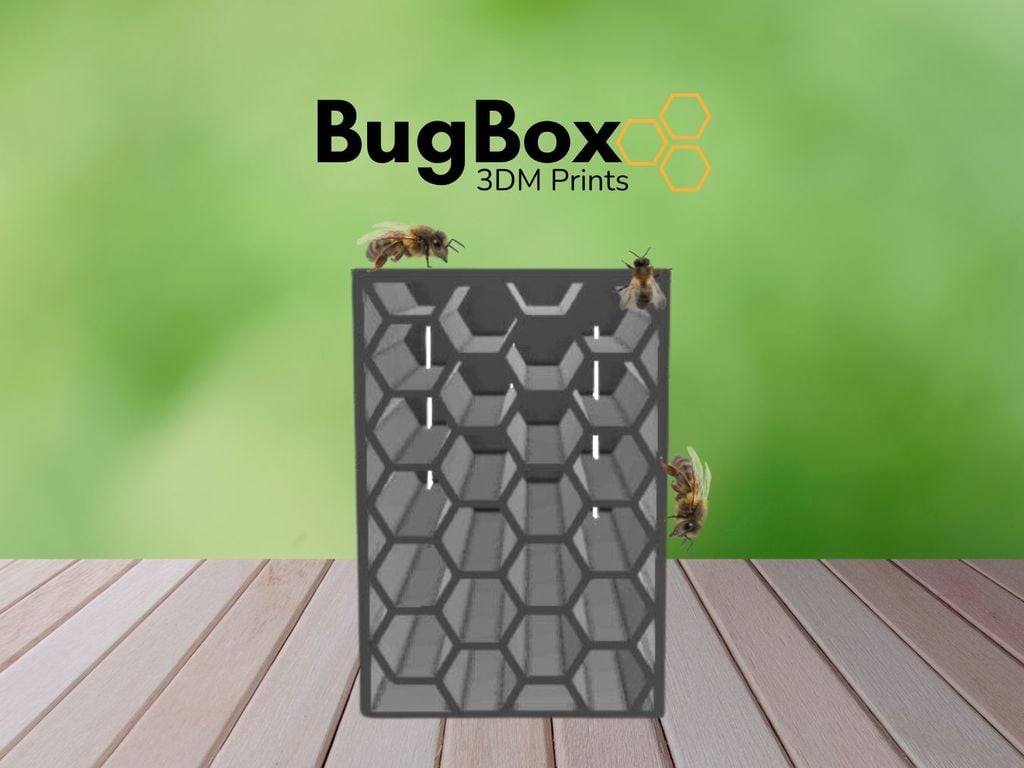BugBox by 3DM Prints | Download free STL model | Printables.com