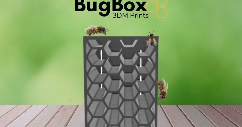 BugBox by 3DM Prints | Download free STL model | Printables.com