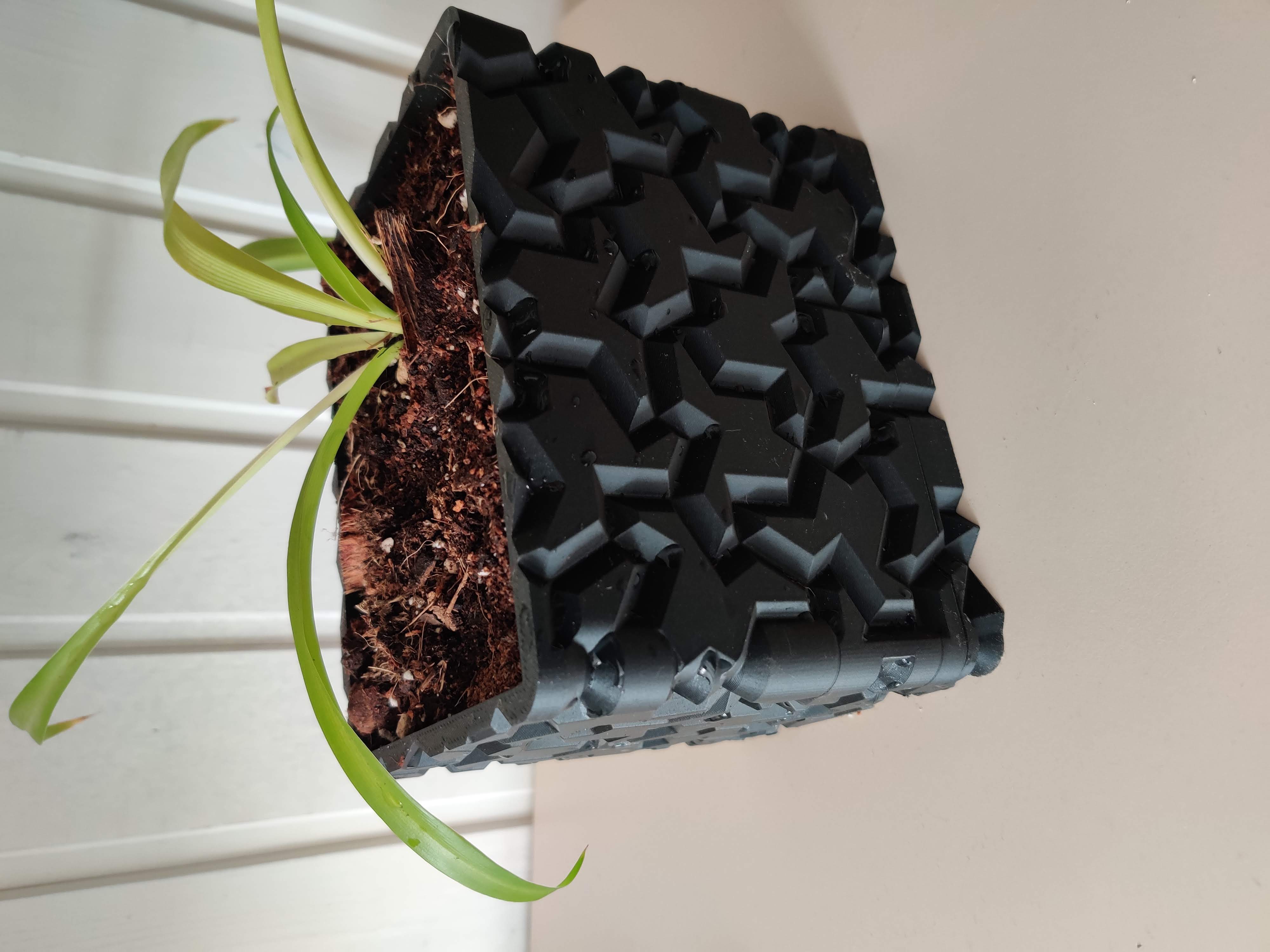 Rectangular einstein tile planter with drainage holes by Lucas ...
