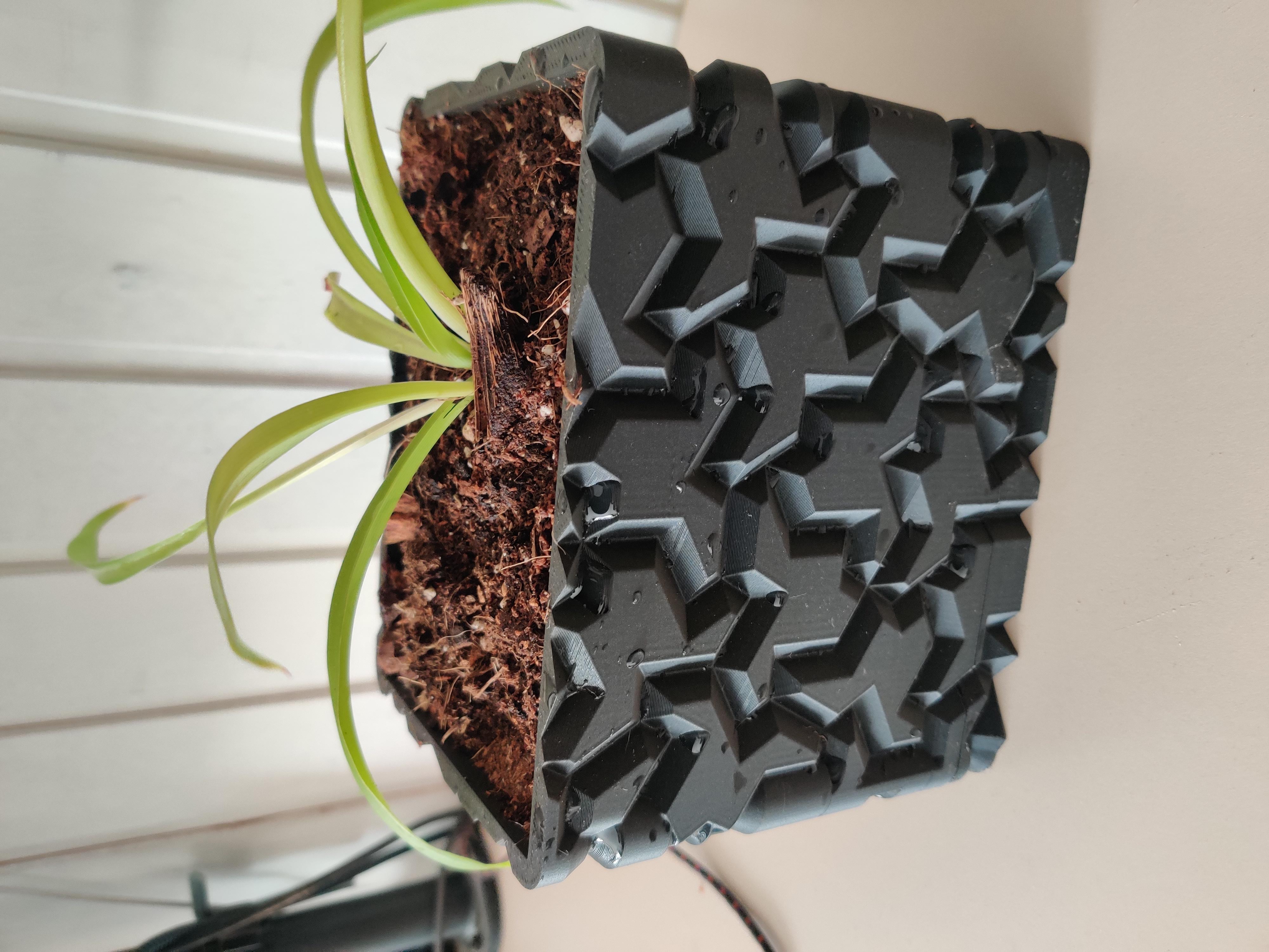 Rectangular einstein tile planter with drainage holes by Lucas ...
