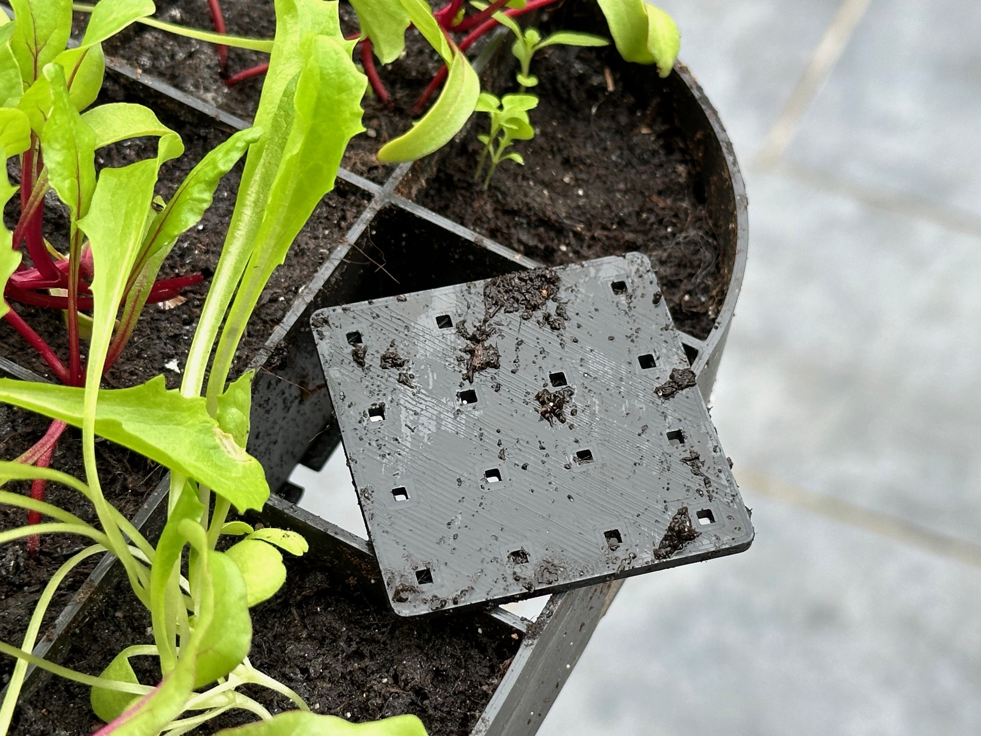The Easy Seeding Boxes for greenhouse by Flo4Print | Download free STL ...