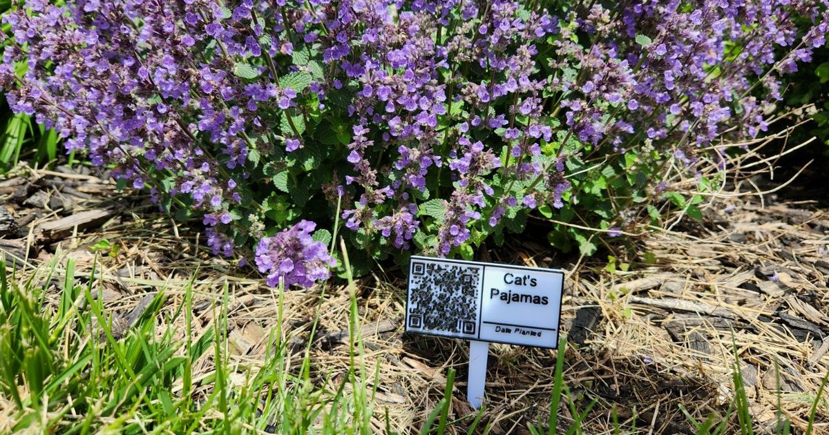 QR Code Plant Tag by KobraC0mmander | Download free STL model ...