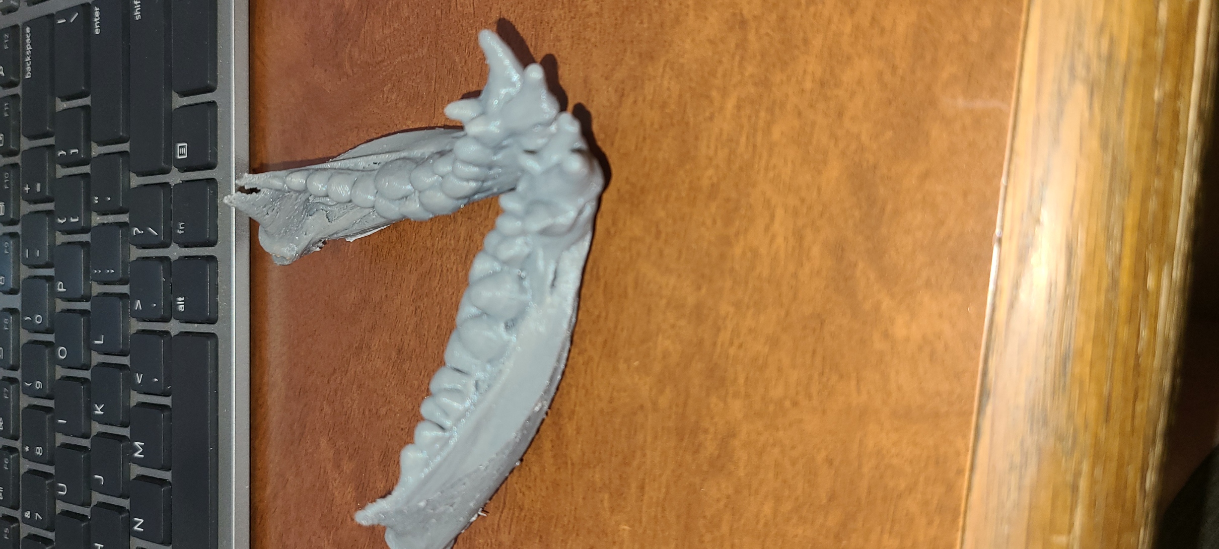 wolf fish lower jaw by Alex Demeo | Download free STL model ...