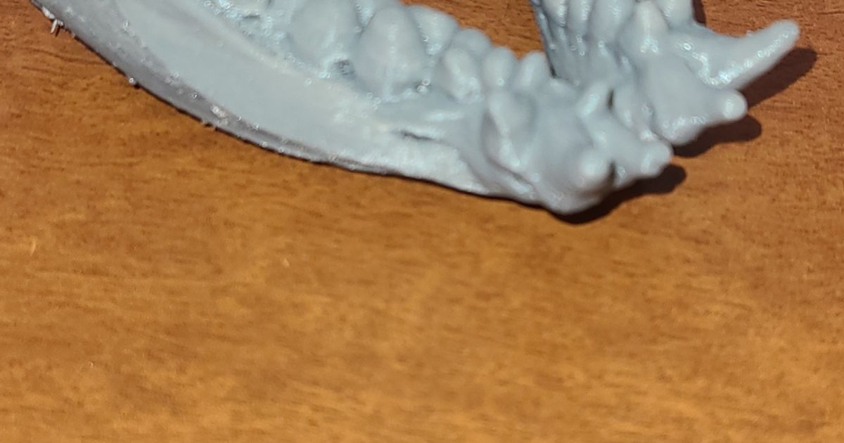 Wolffish Fish Britannicacom