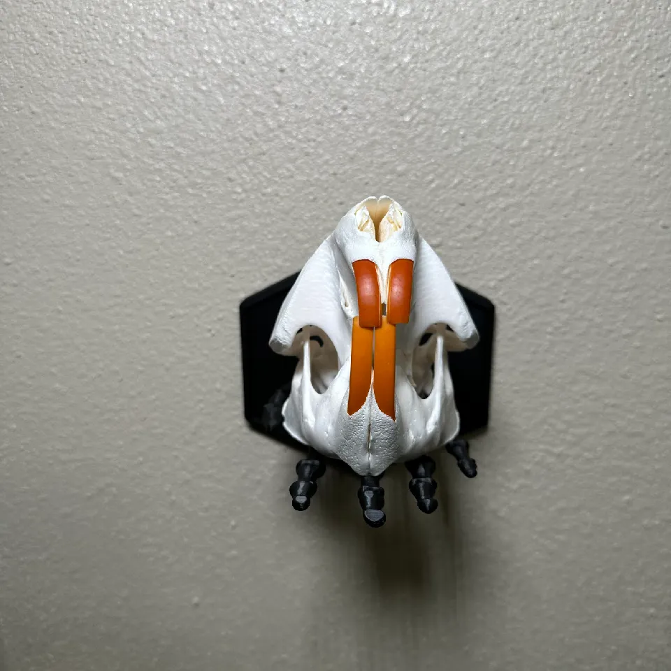 Skeleton Hand - Wall Hanger - No Supports by Deltree3D | Download free ...