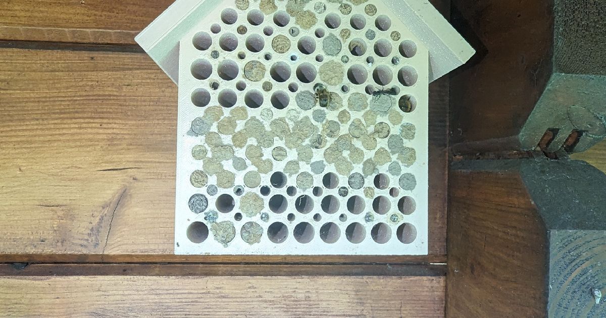 Bee Hotel by Harry | Download free STL model | Printables.com