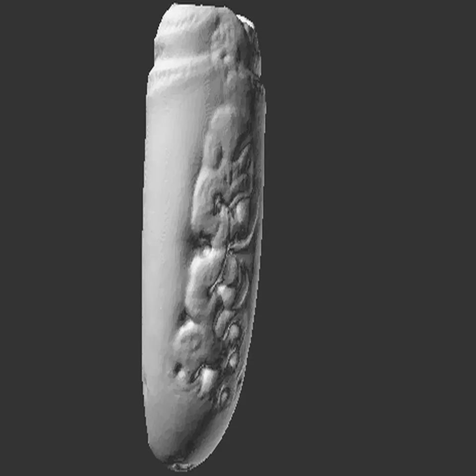 Maori nguru nose flute by Peter Farell | Download free STL model ...