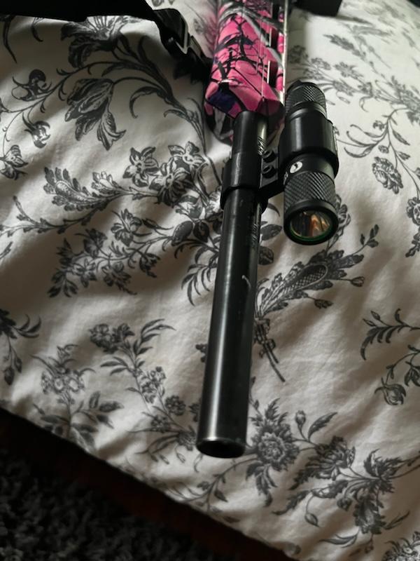 Mossberg 22lr Rifle Flashlight Mount by wingsfan13 | Download free STL ...