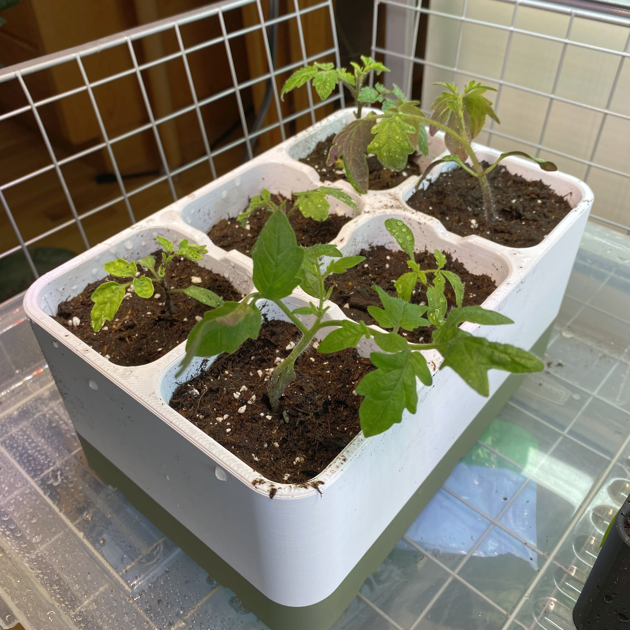 Practical Seedling Trays by Sascha Uncia | Download free STL model ...