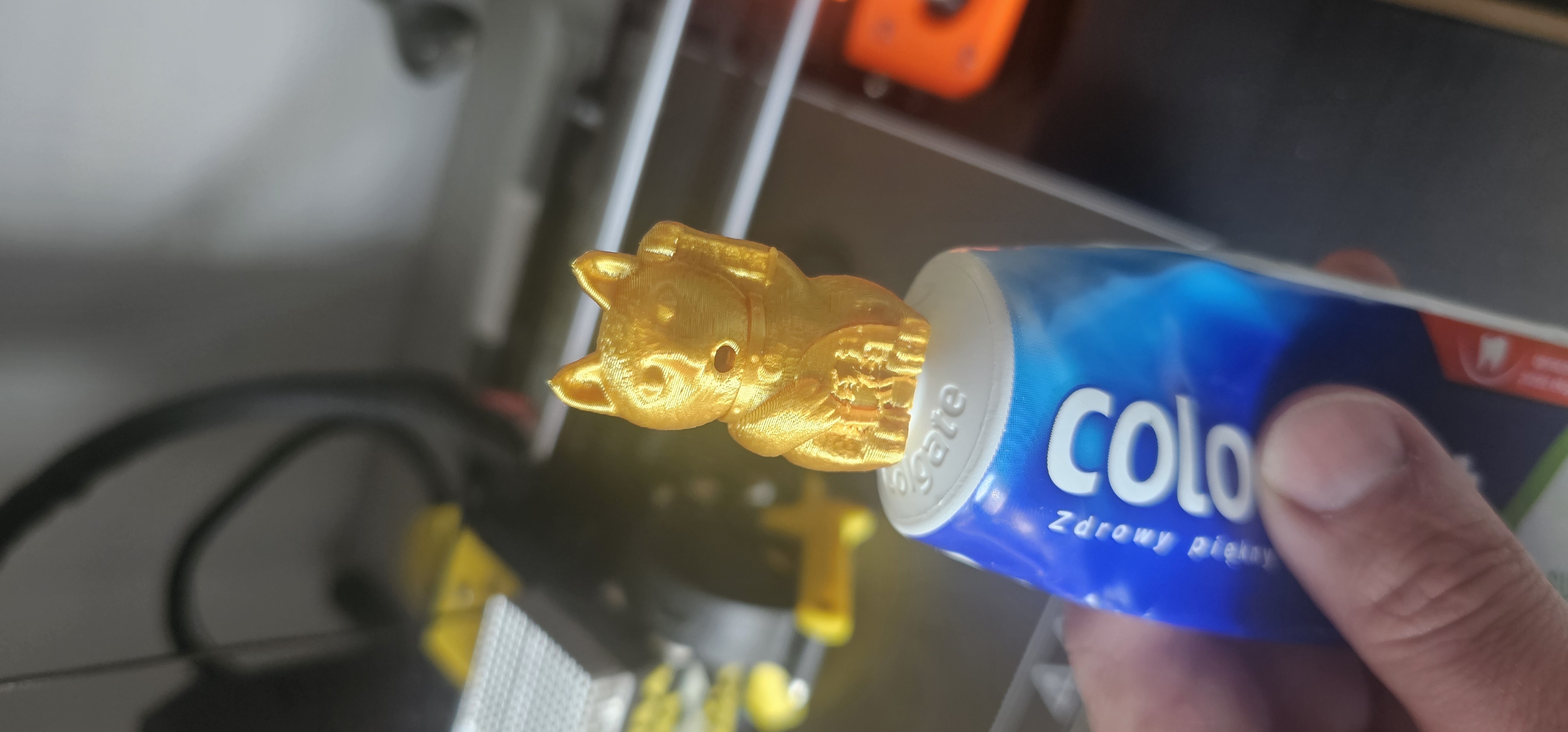 Zakrętka na pastę do zębów kot - Cap for cat toothpaste by diego2255 ...